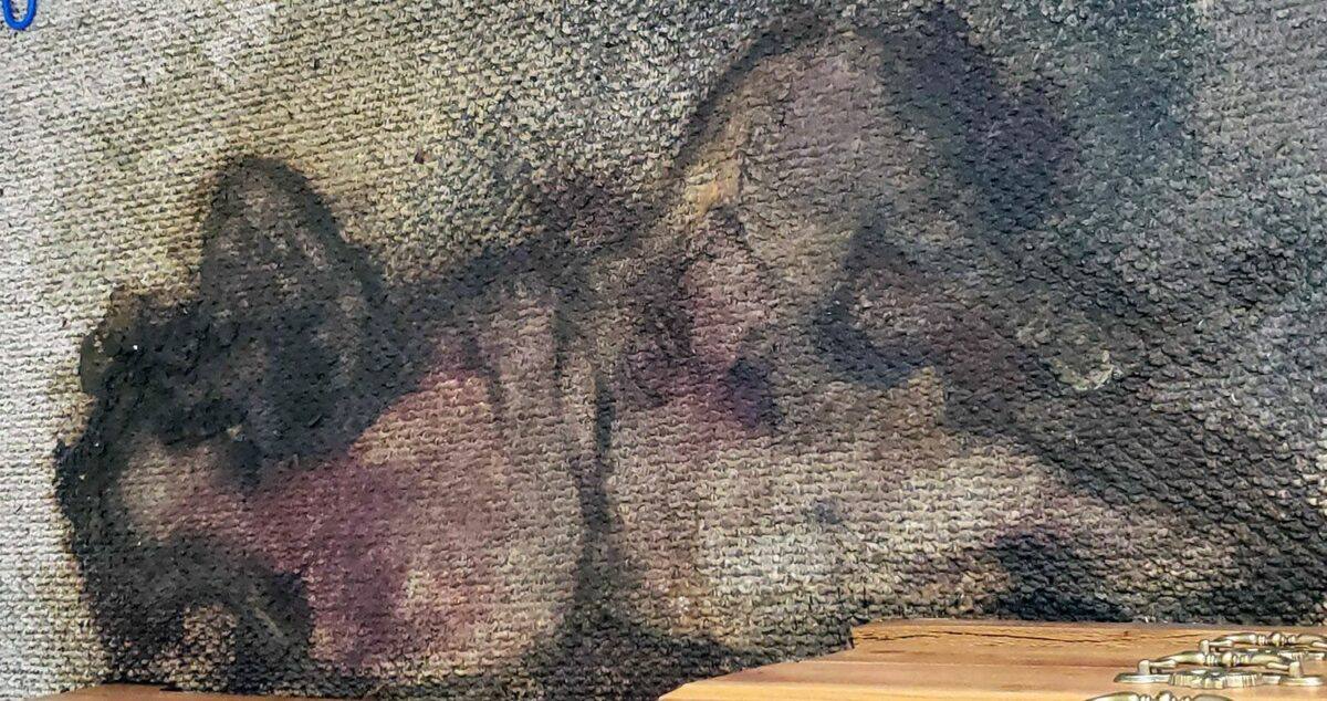 Crime Scene Clean Up and Unattended Death Clean Up in Santa Clara, CA