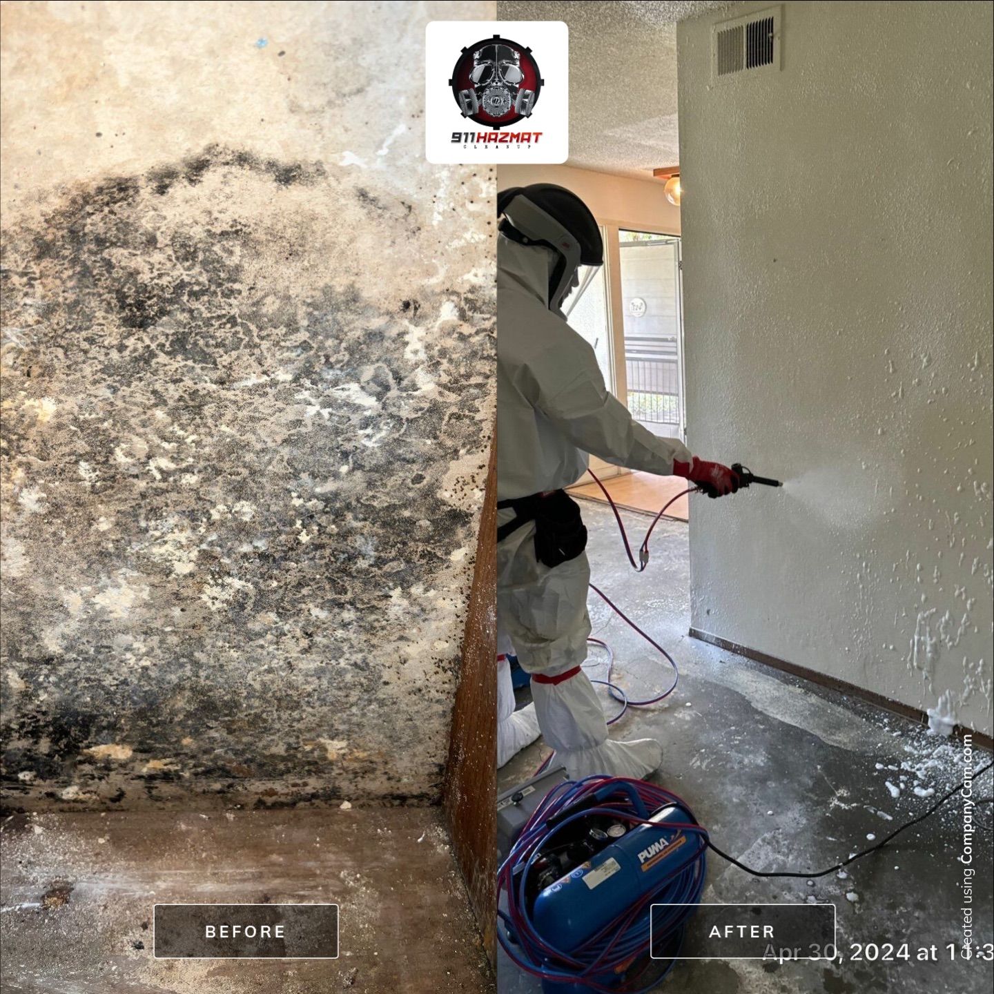 Cool Review About Mold Remediation San Francisco